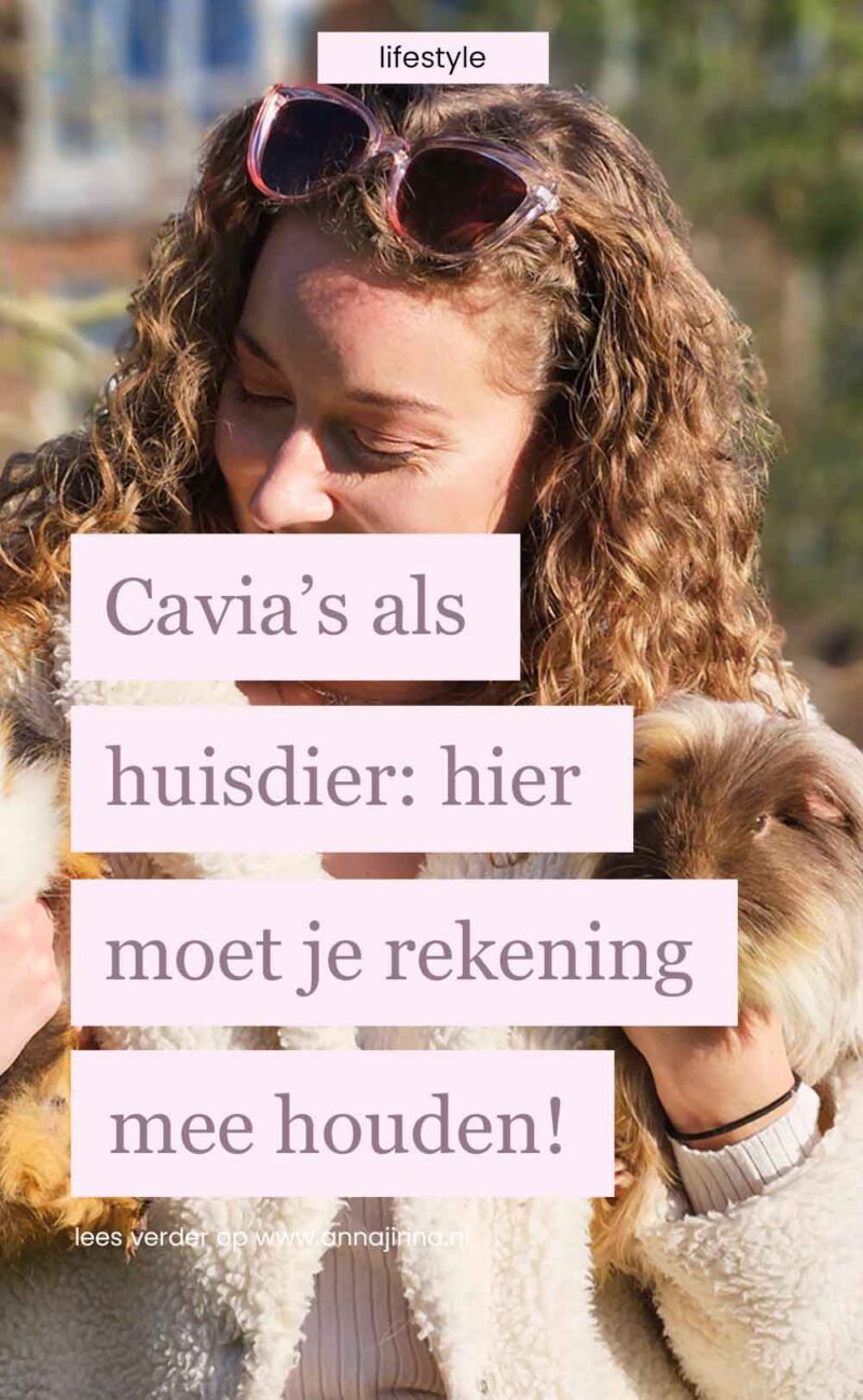Cavia als huisdier: hier moet je aan denken! - Anna Jirina Cavia als huisdier: hier moet je aan denken! - Anna Jirina